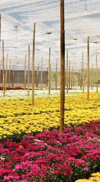 Telemetrik I Lo damos todo por el Agua y la Energía I IoT I Medellin I ...